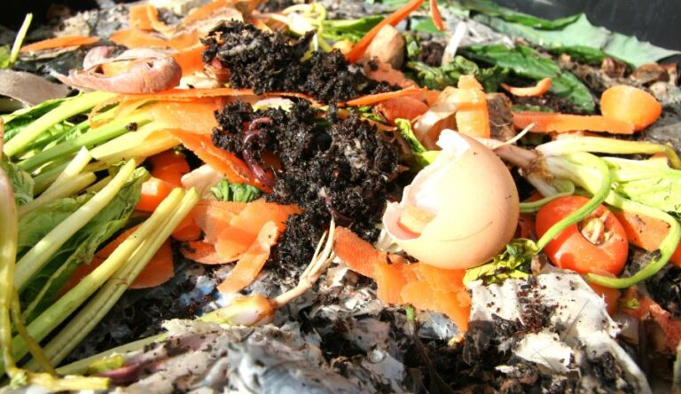 Love Food Hate Waste